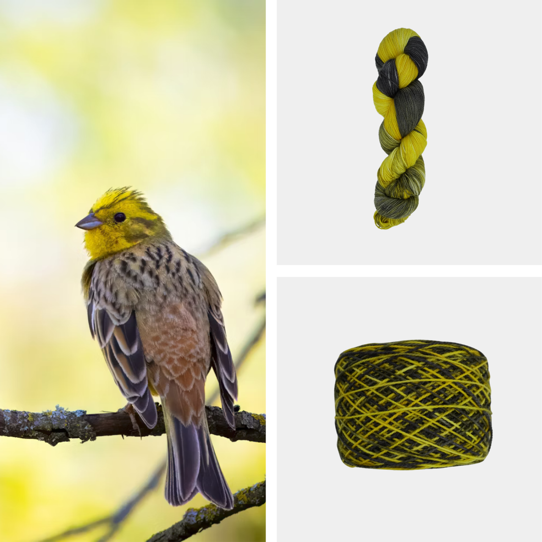 Yellowhammer – Sandhill Yarns